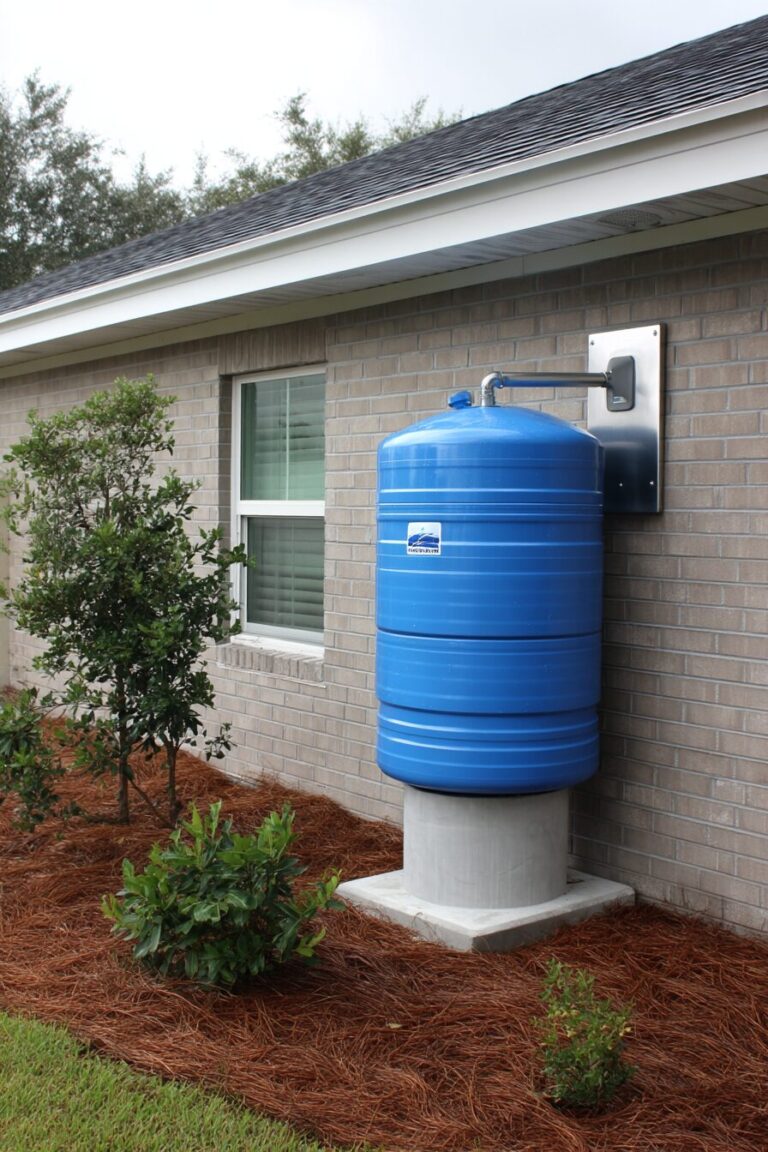Innovative Rainwater Collection System Ideas for Your Home ...
